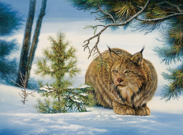 Animals - Tom Lybeck Art
