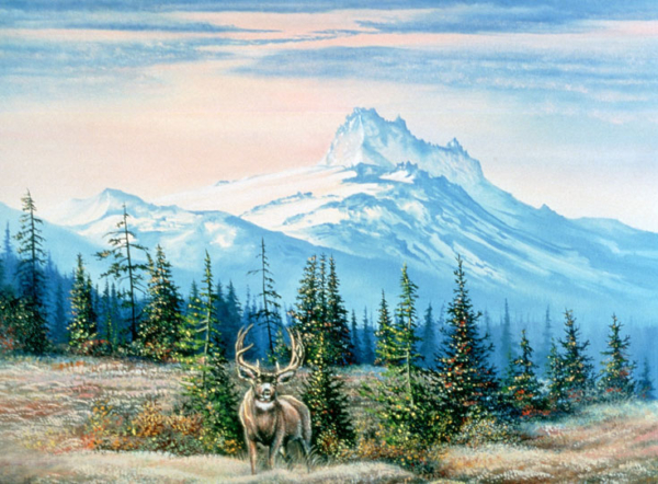Animals - Tom Lybeck Art
